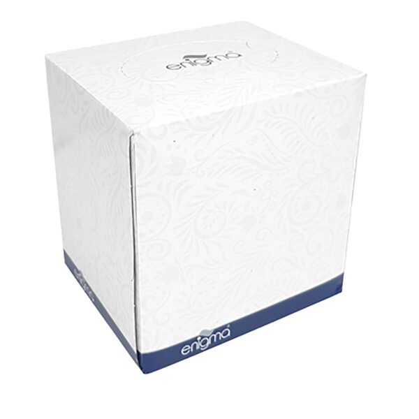 Facial Tissue Boutique Cube Box 2 Ply - hygiene4less